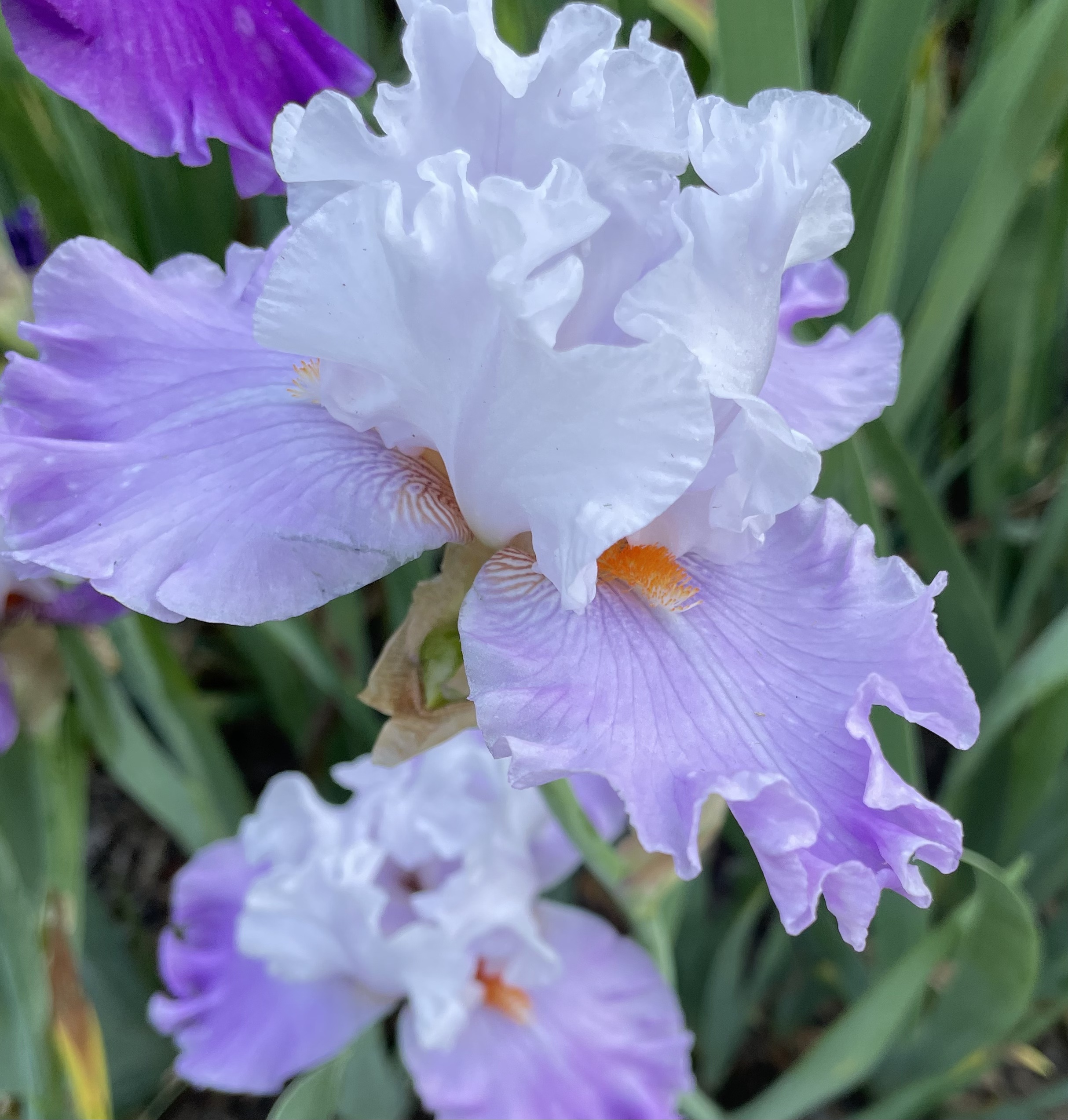 Amy Fletcher Makeup Artistry – Healthier makeup on-location artistry ...